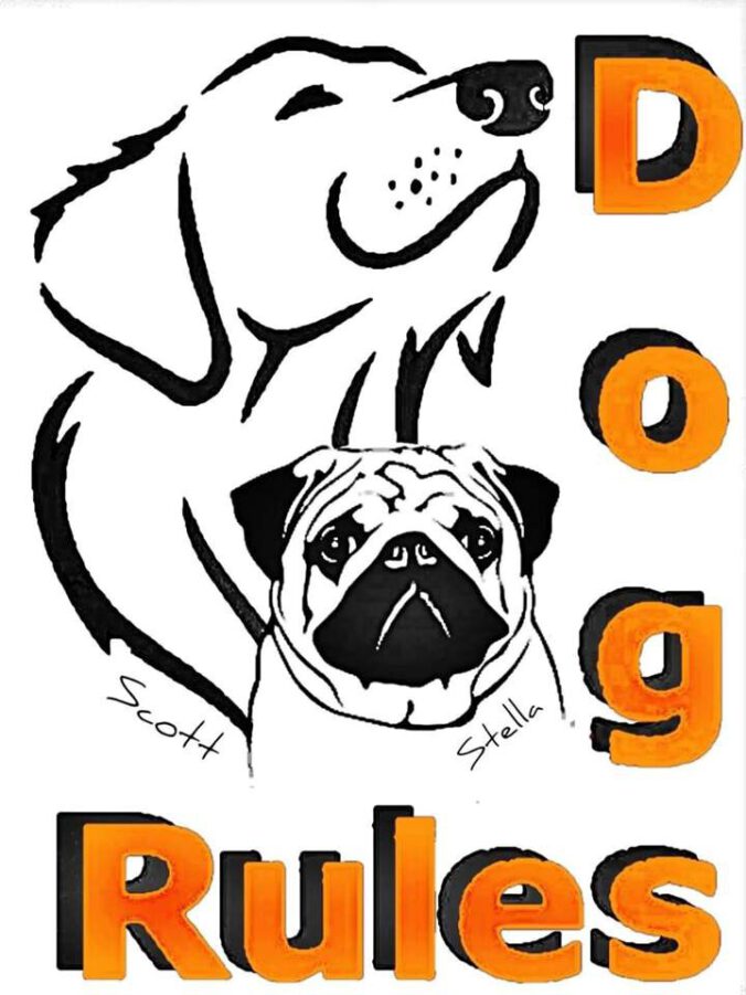 Dogs Rules – De Hondenschool van de Veluwe!